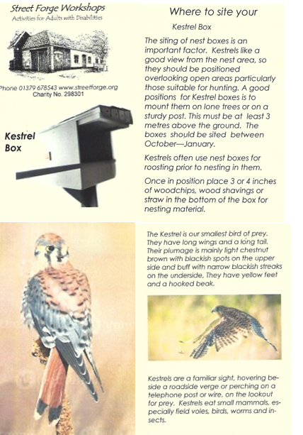 Street Forge Workshop – High end bird boxes, bird feeders, hedge hog houses